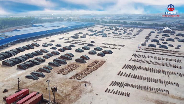 New Forests makes first foray into Vietnam with the Tropical Asia ...