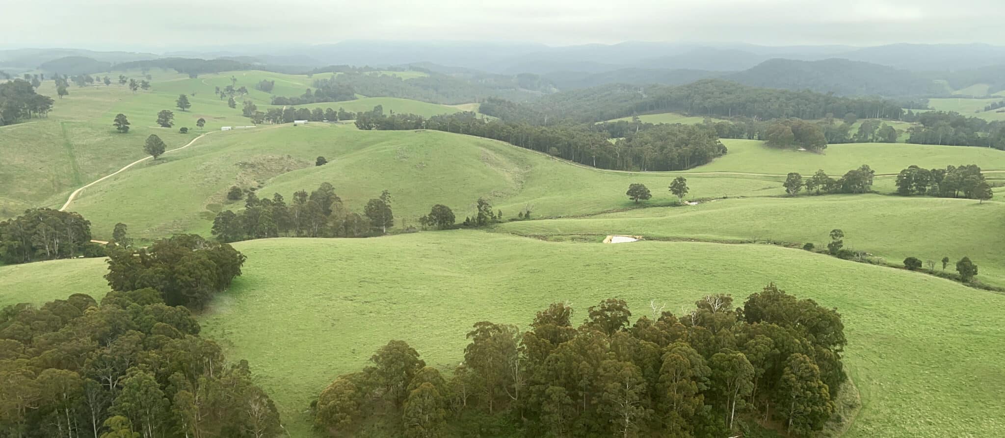 New Forests’ ~$600 million ANZLAFF fund acquires McPhee Beef Farms ...