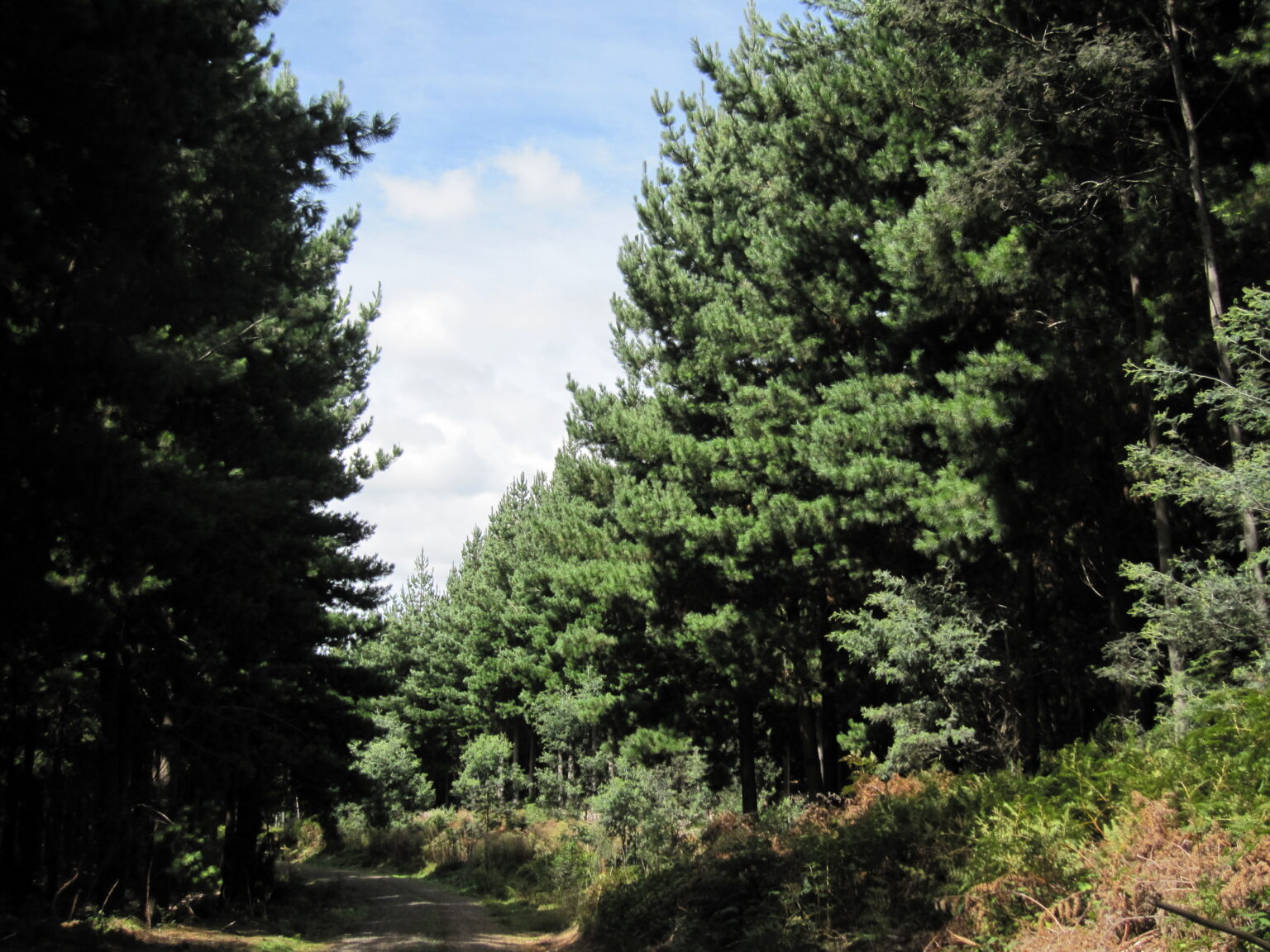 Federal Government grants $1 million to North East Bioregional Network ...